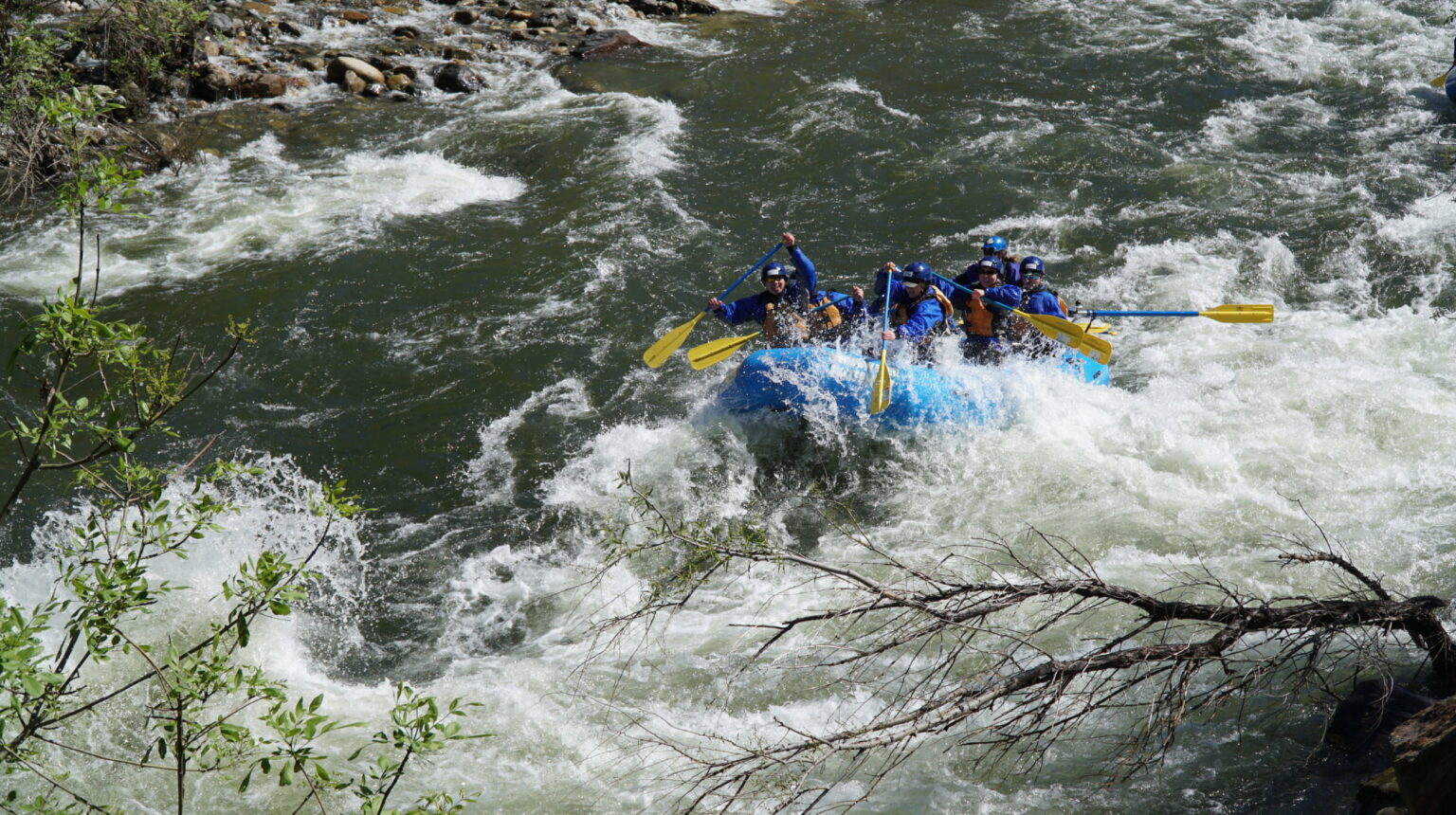 Merced River 1 Day Whitewater Rafting Trip Near Yosemite